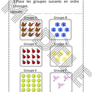 Workbook 1st Cycle Printable in French| Ascending and Descending Order ...