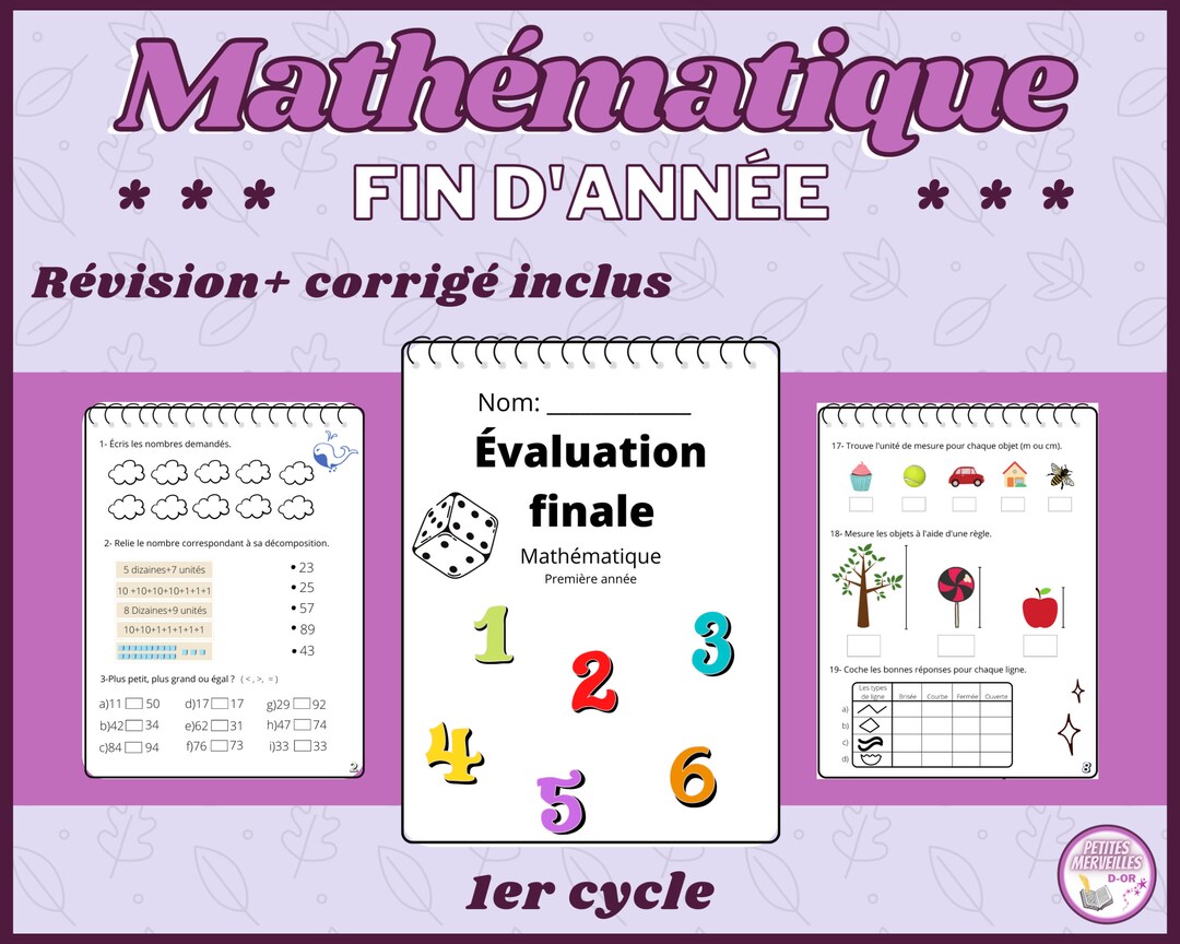 MATHEMATICS Assessment Printable in French 1st Year of Primary ...