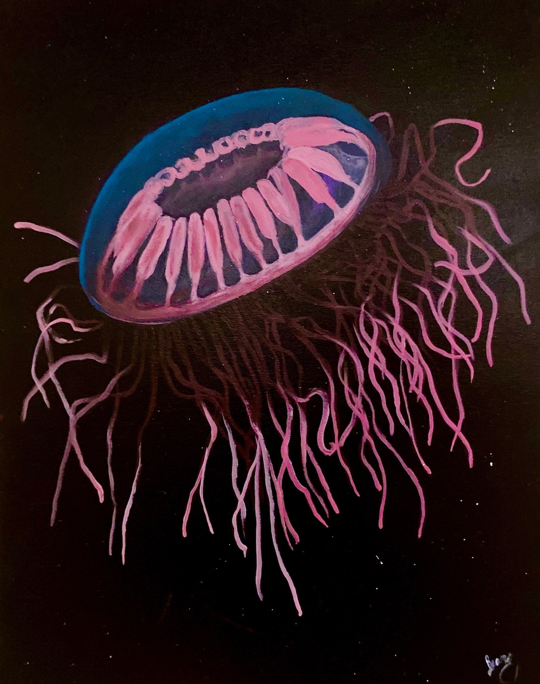 Fred the Firework Jellyfish - Etsy