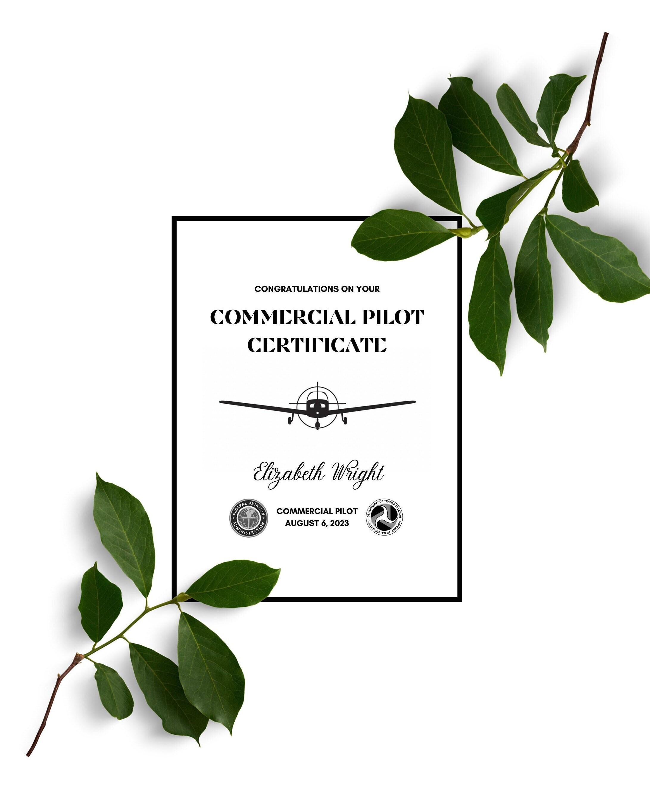 Commercial Pilot Certificate Customizable Gift - Printable Plaque ...