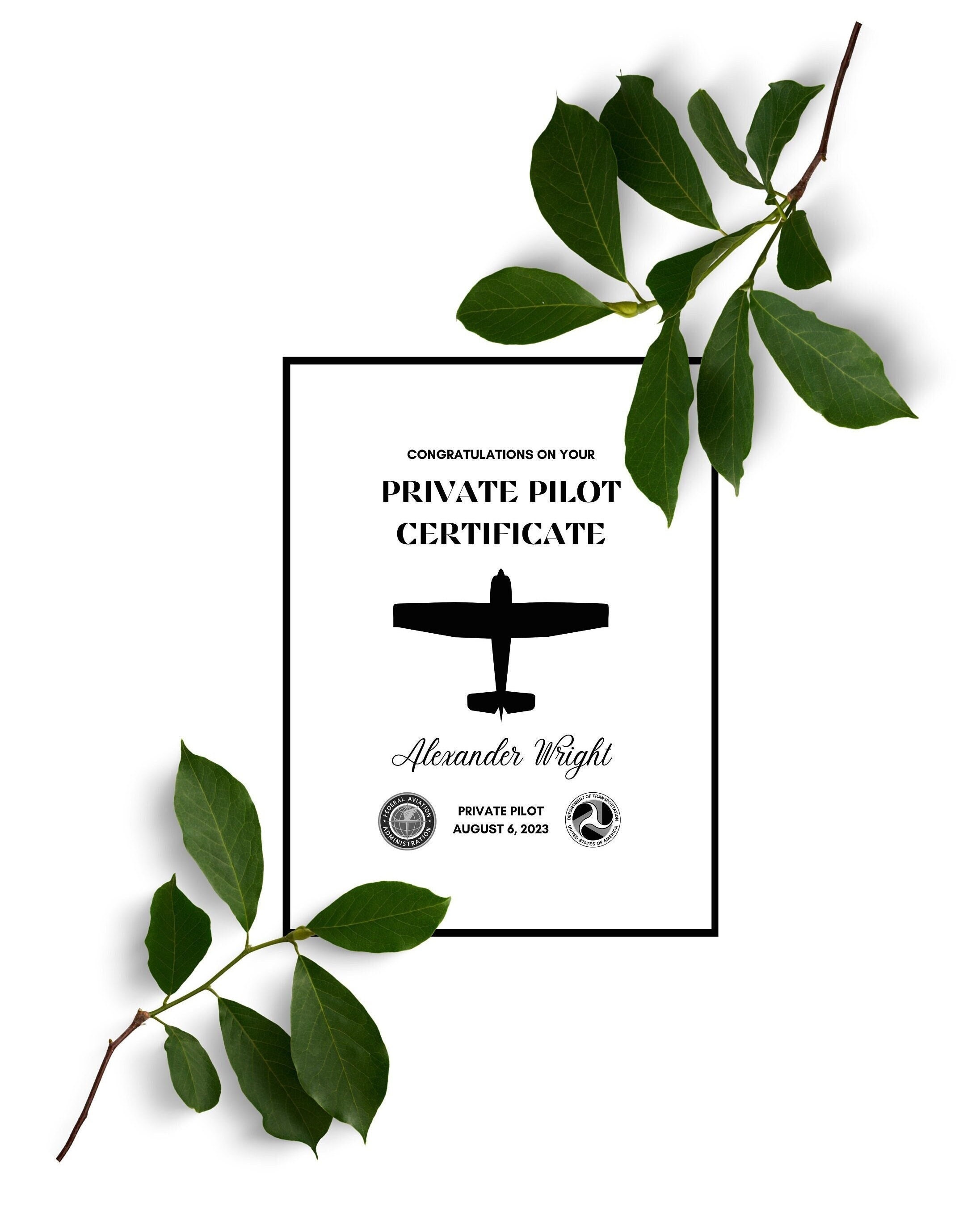 Customizable Private Pilot Certificate – Aviation Gift (digital ...