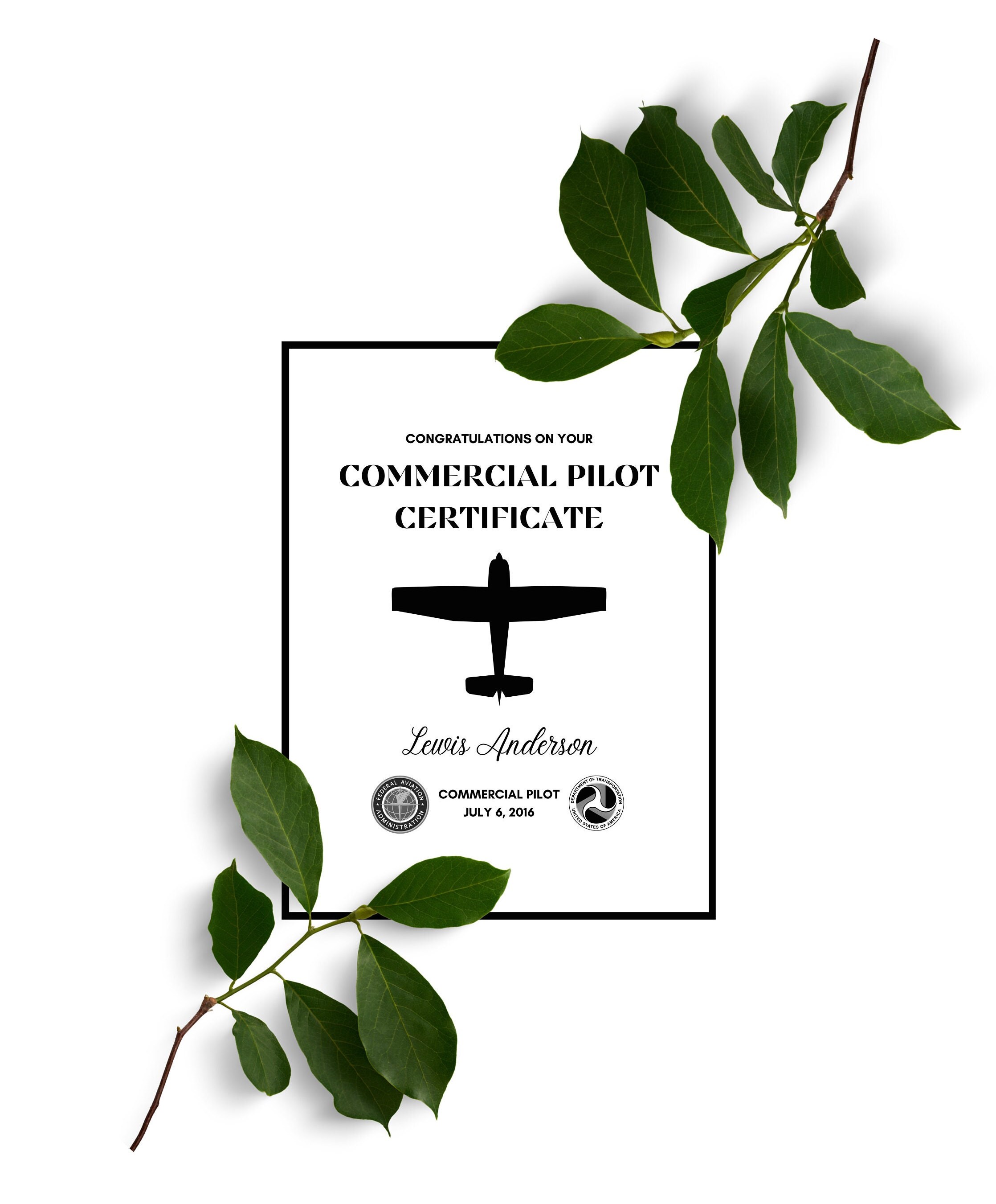 Commercial Pilot Certificate Customizable Gift - Printable Plaque ...