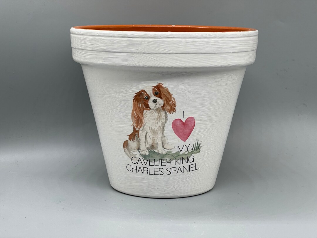 Cavalier King Charles Spaniel Dog Plant Pot Gift. Personalised - Etsy