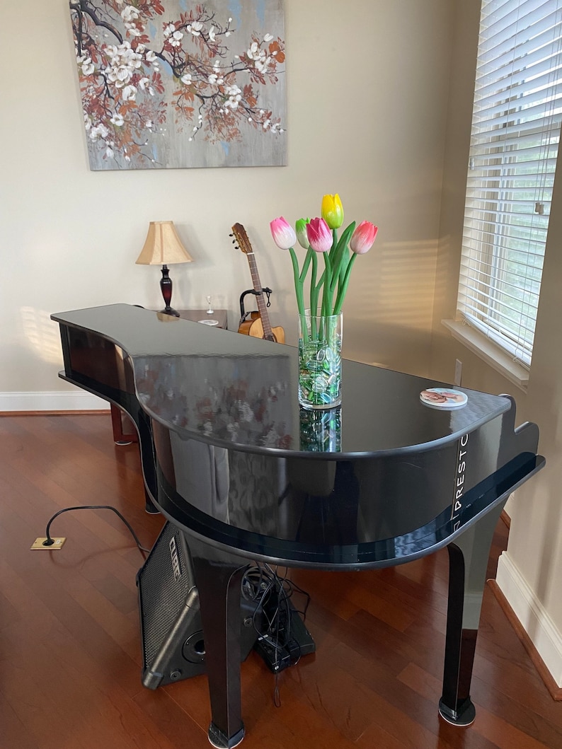 Presto Piano Shell in Gloss Black or White/red/blue - Etsy