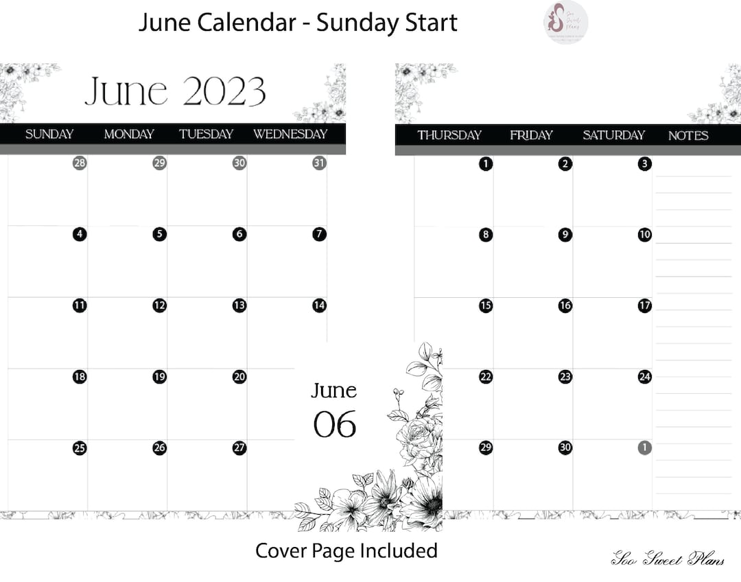 June Budget Bundle Printable Insert - Sunday Start - Black & White ...
