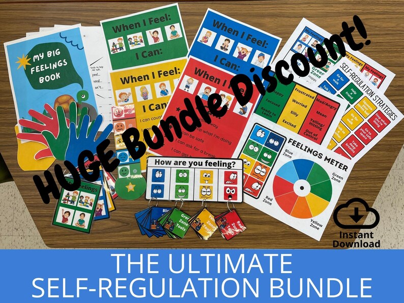 Feelings Chart Emotional Self Check-in Self-regulation Zones - Etsy