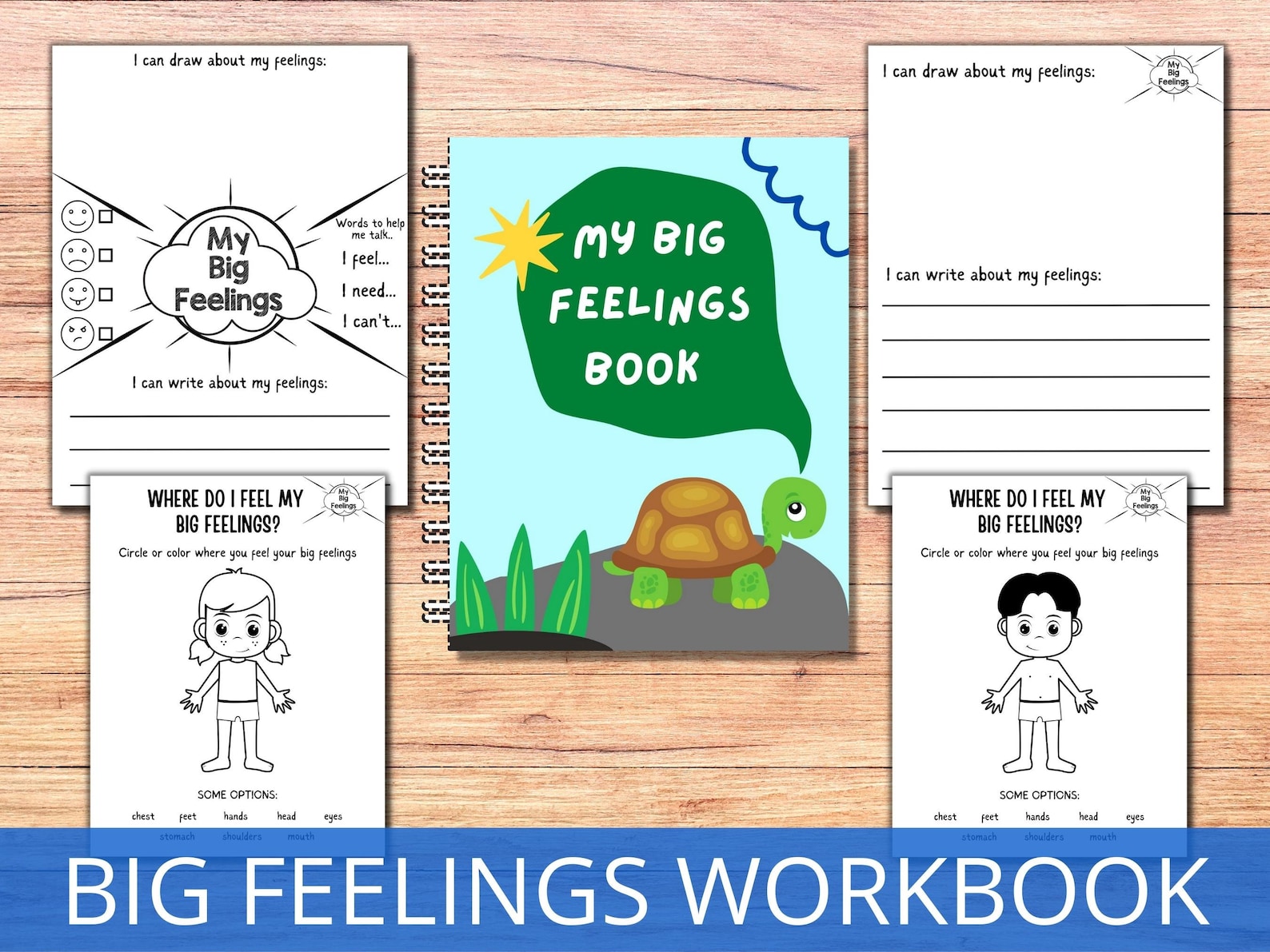 Self-regulation Flashcards and Posters BUNDLE, Zones Visuals, Calming ...