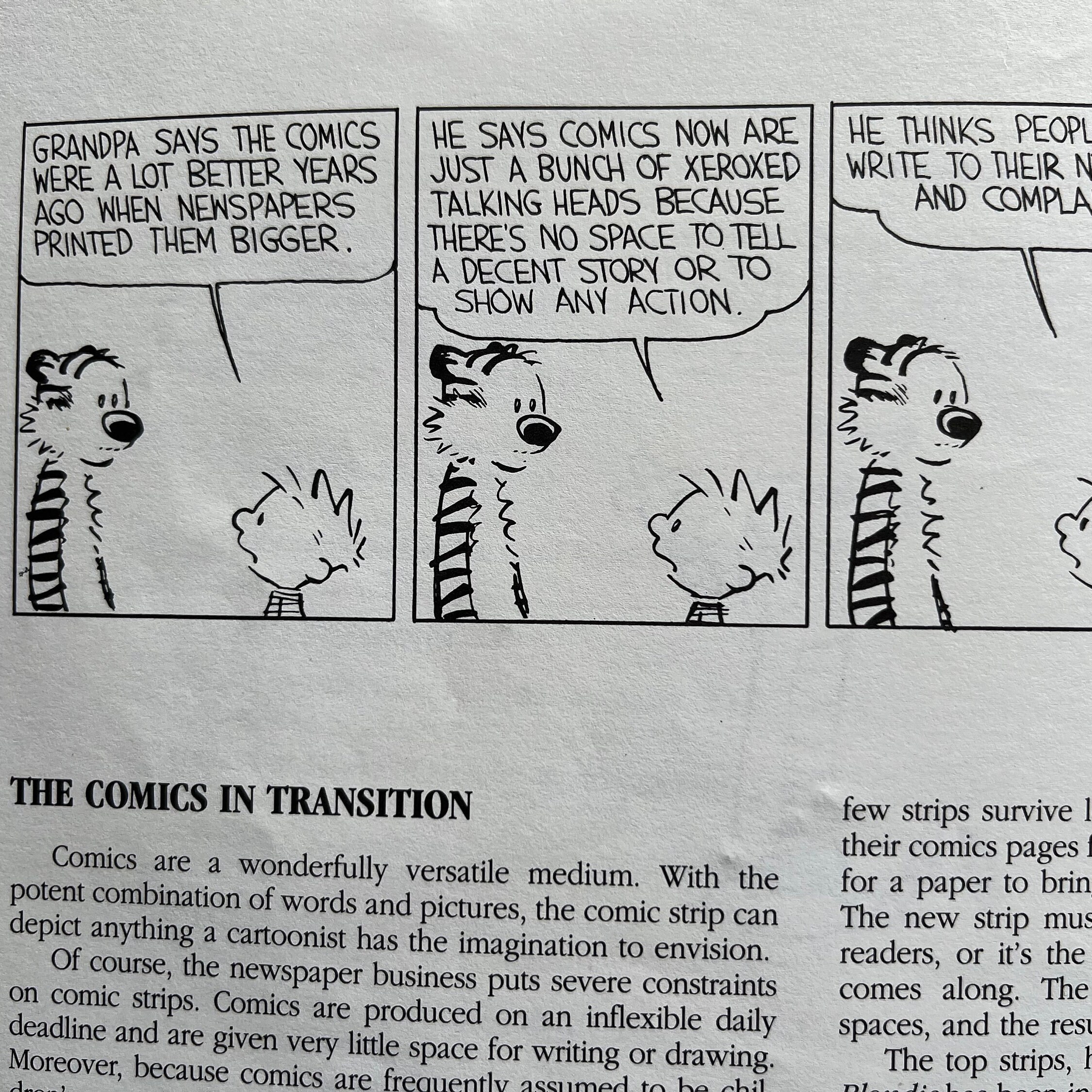 The Calvin and Hobbes Tenth Anniversary Book Vintage Comic Strip Book ...