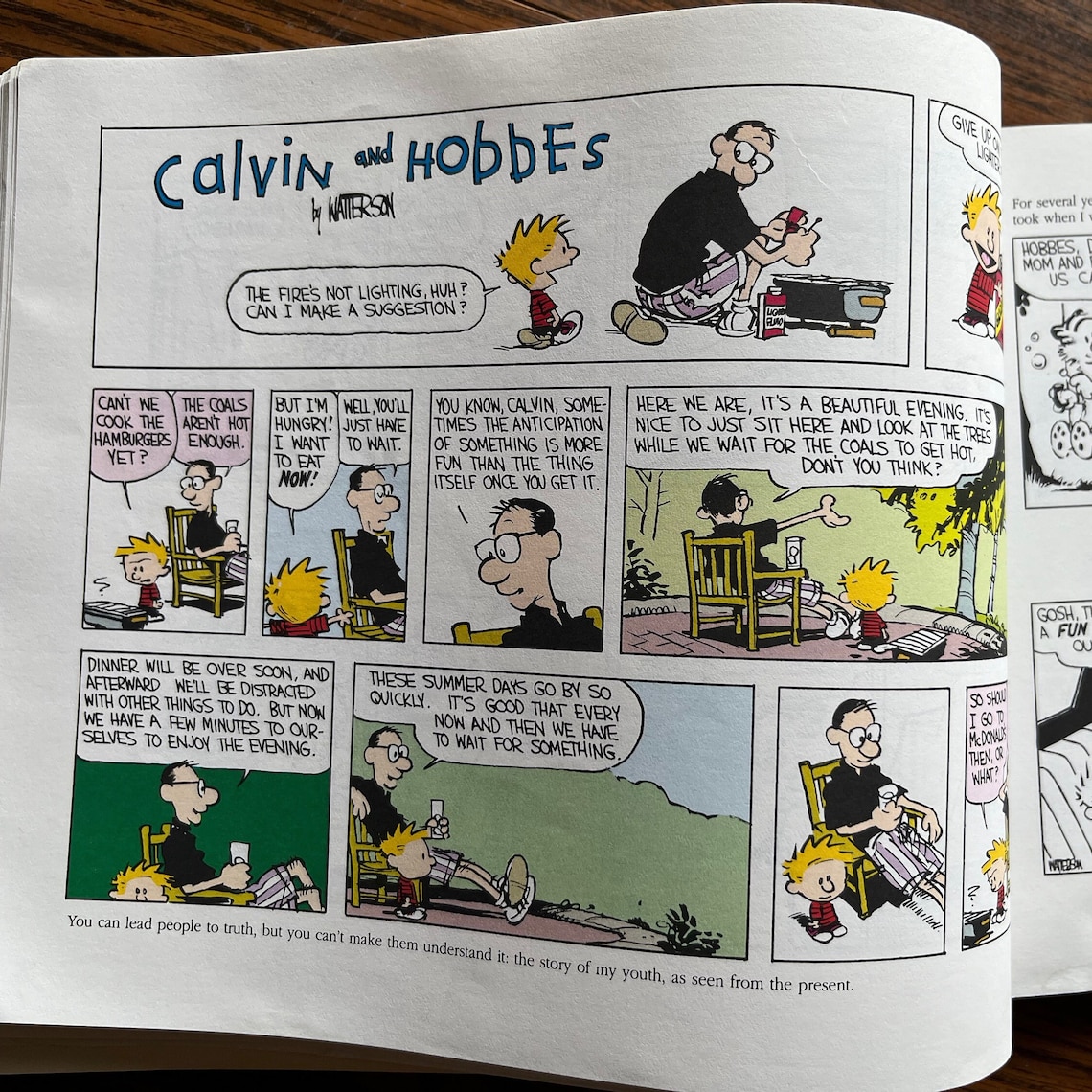 The Calvin and Hobbes Tenth Anniversary Book Vintage Comic Strip Book ...