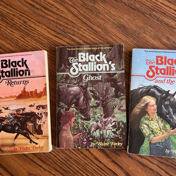 Black Stallion - Etsy