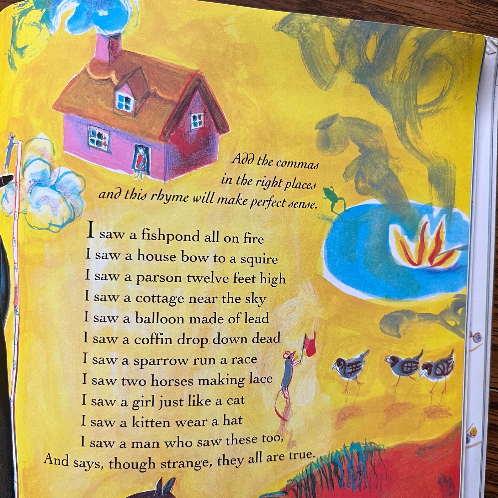 Walking the Bridge of Your Nose: Wordplay Rhymes and Poems ...