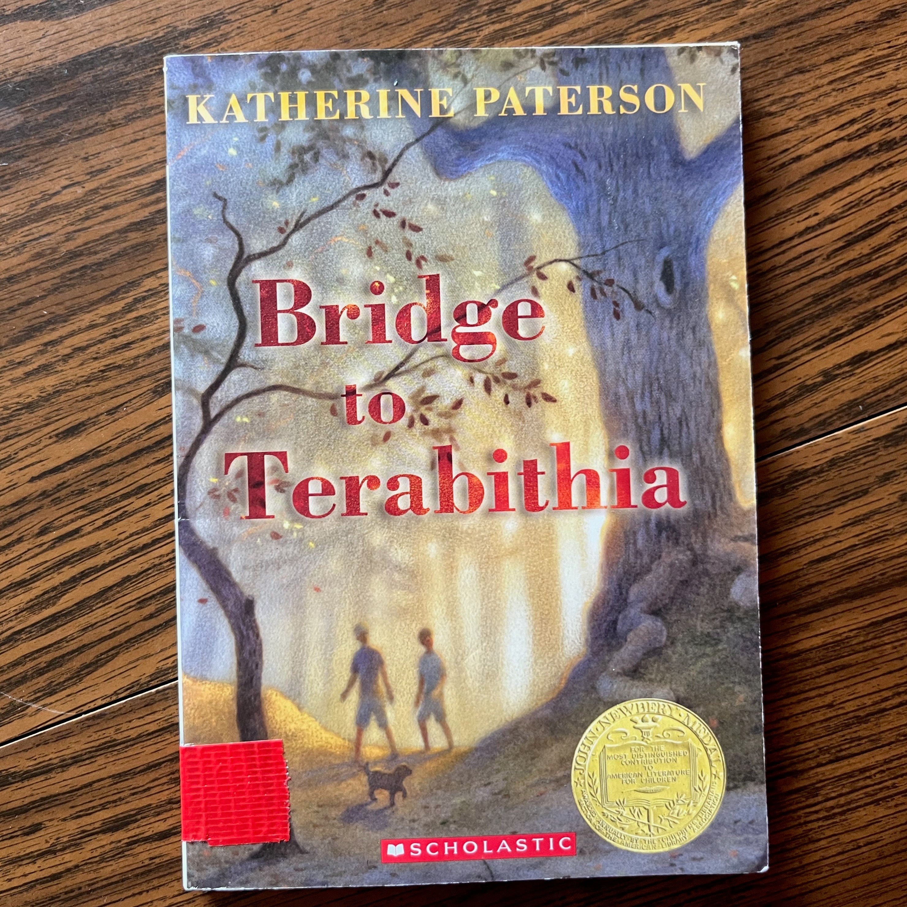 Bridge to Terabithia Katherine Paterson Vintage Children's Literature ...