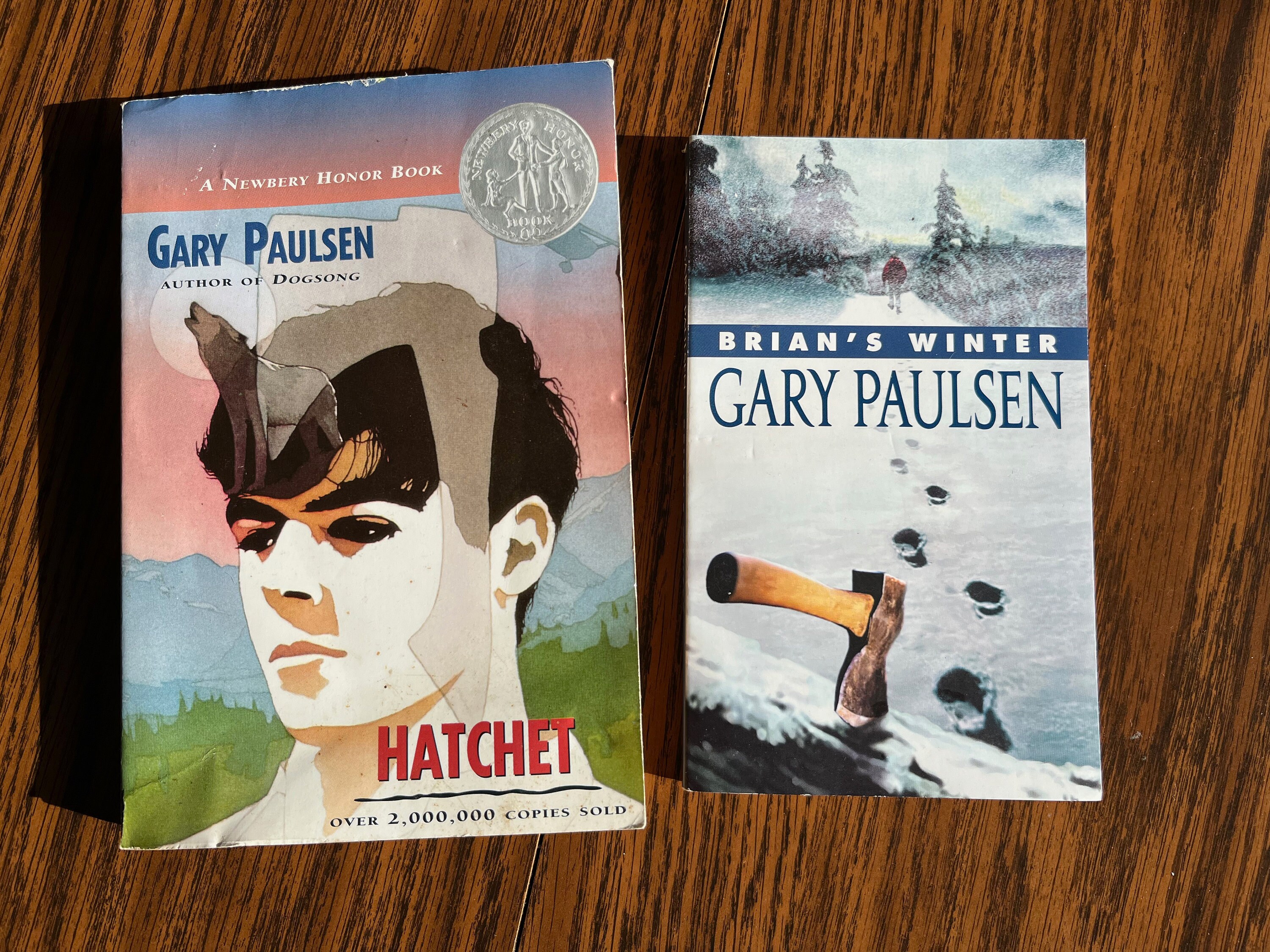 Gary Paulsen Brians Winter