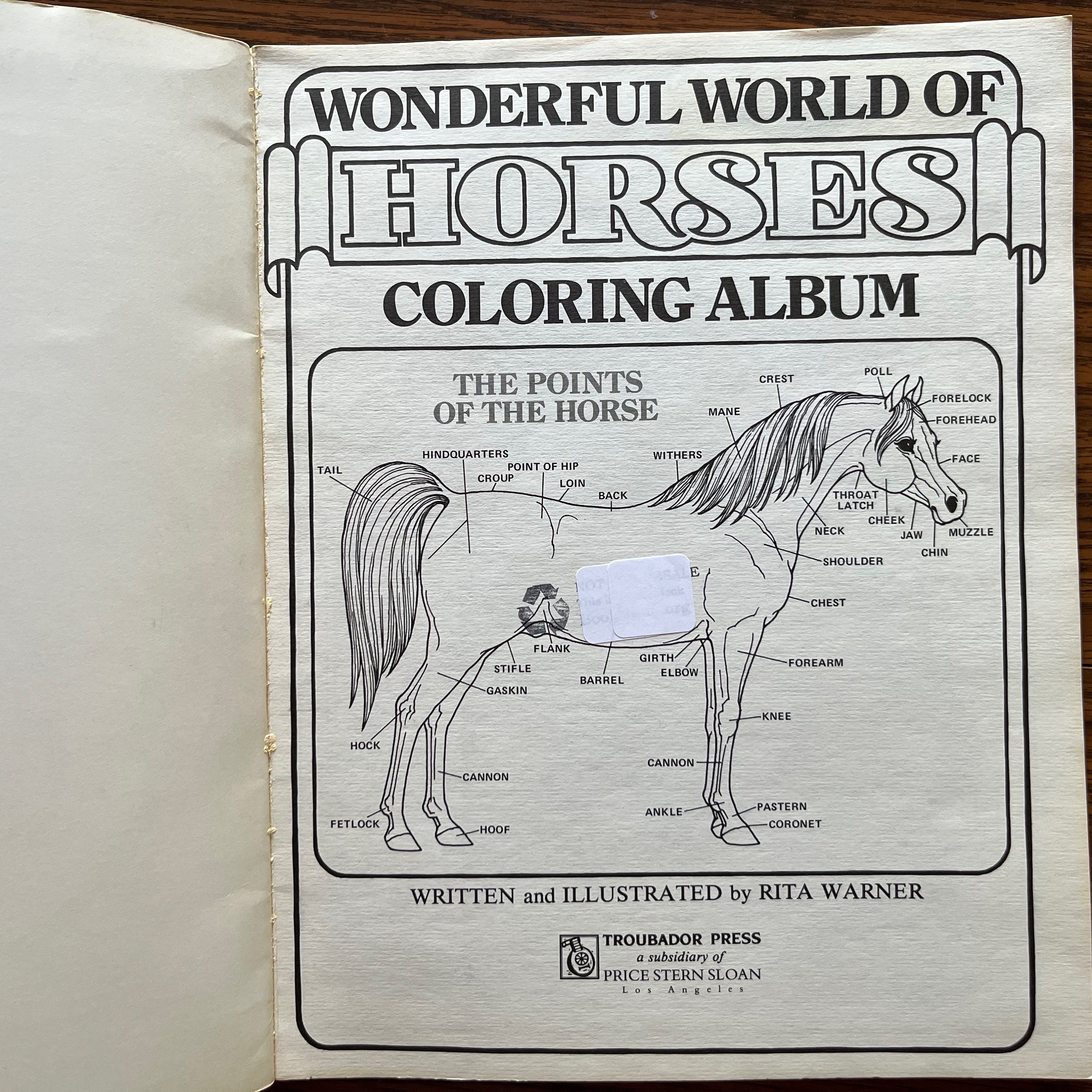 Wonderful World of Horses Coloring Album Rita Warner Facts and Line Art ...