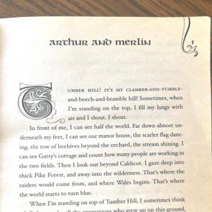 The Seeing Stone - Kevin Crossley-holland - Vintage YA Fantasy ...