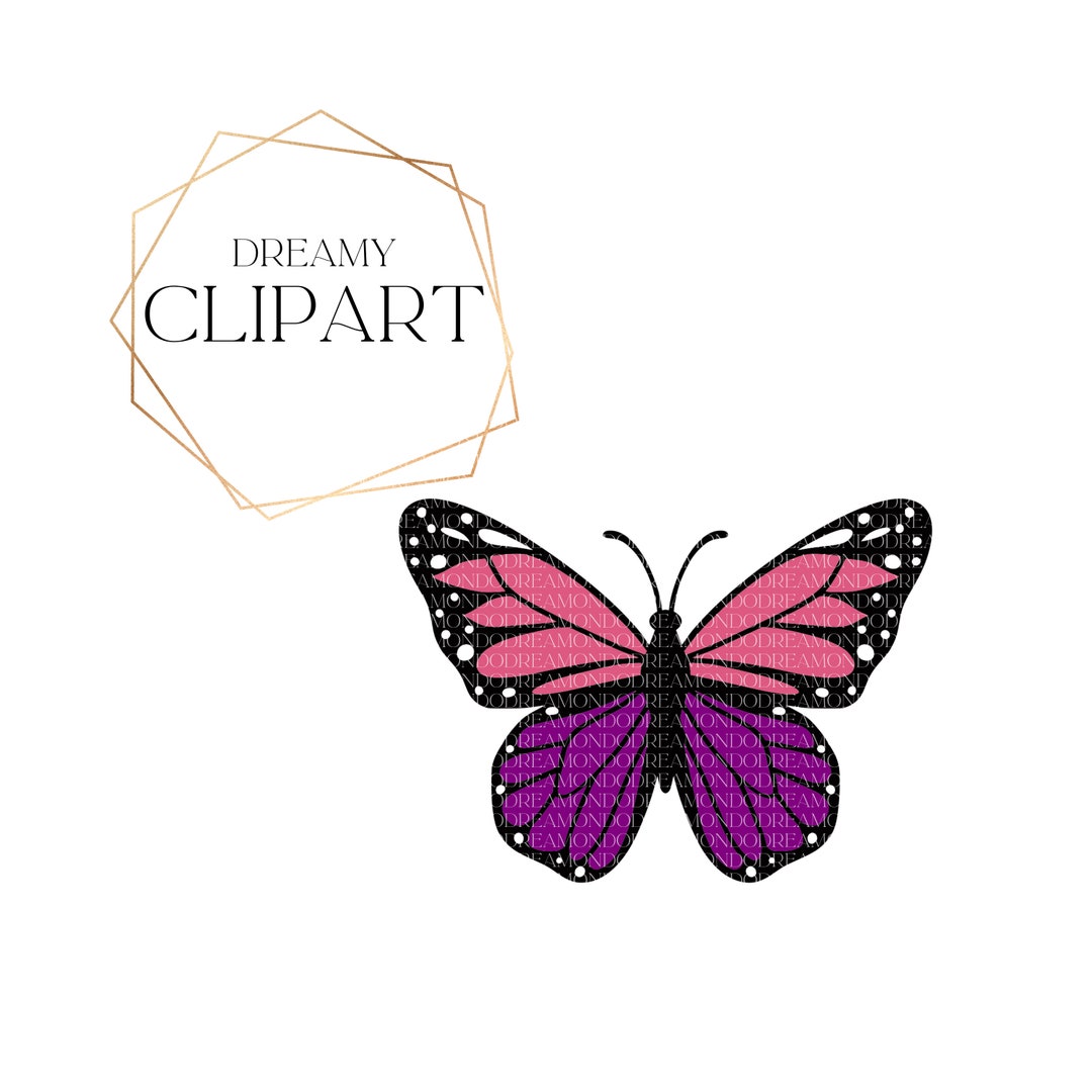 Colorful Butterfly SVG, Colorful Butterfly PNG, Butterfly Png ...