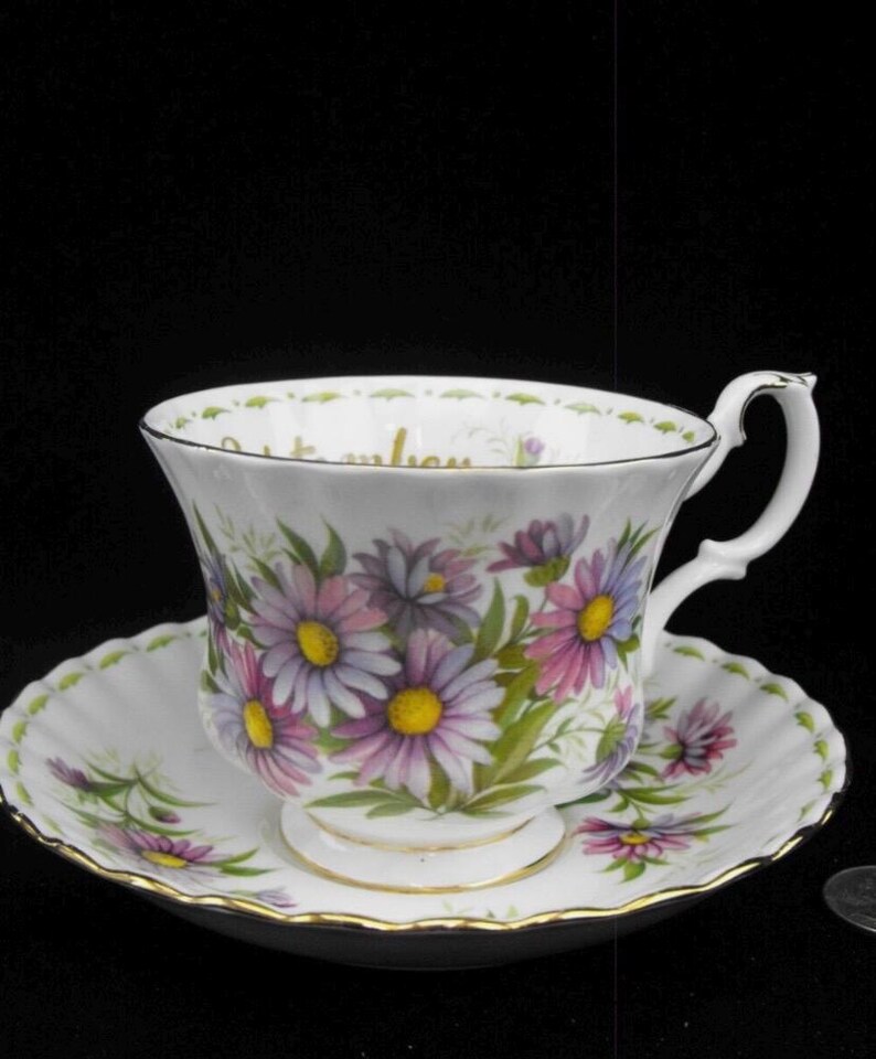 September Flower of the Month Series Royal Albert michaelmas Daisy ...