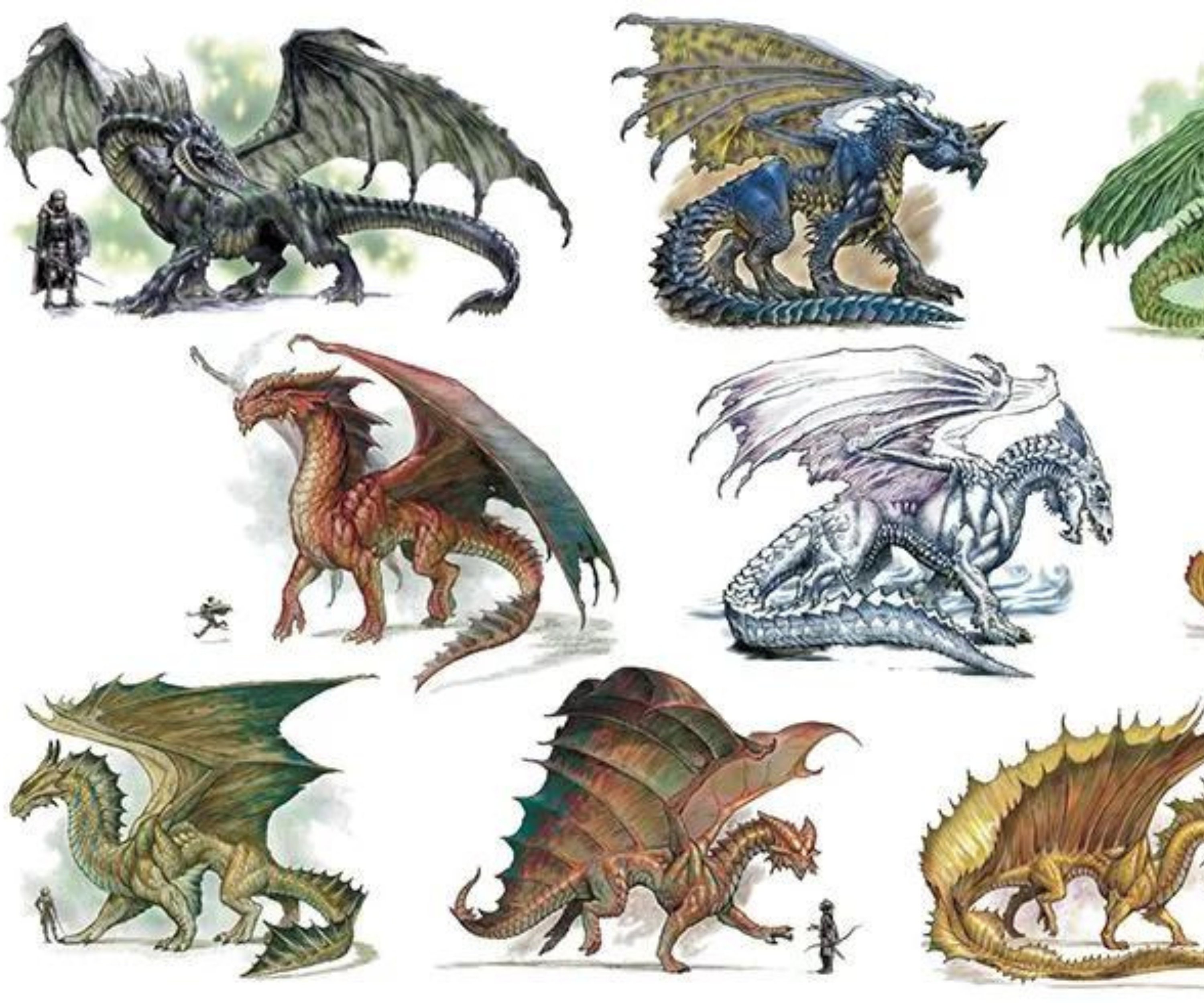 Dragon Reverse Adoption | Mythical Creature Adoption | Fantasy Creature ...