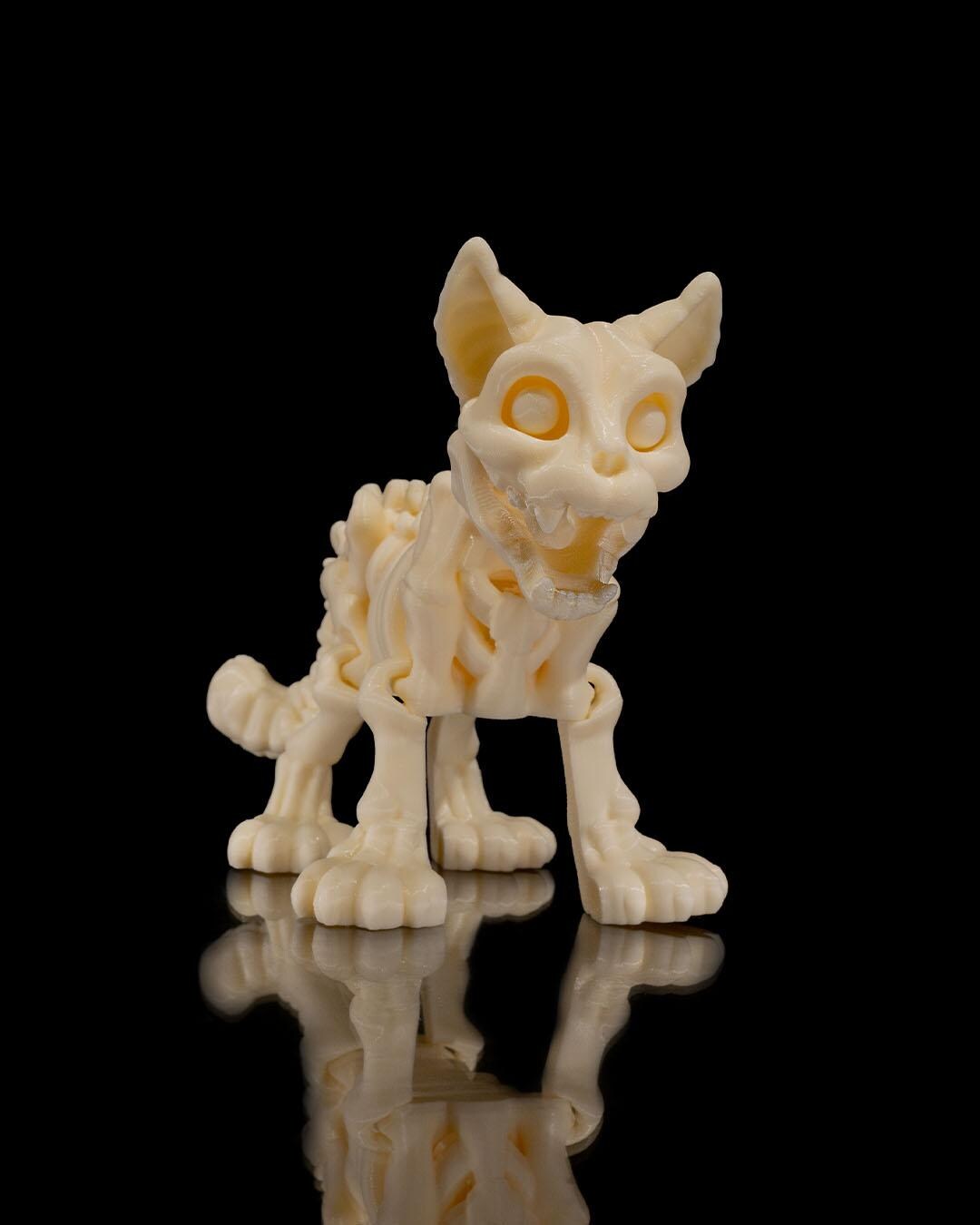 3D Printed Articulated Cat Skeleton - Etsy