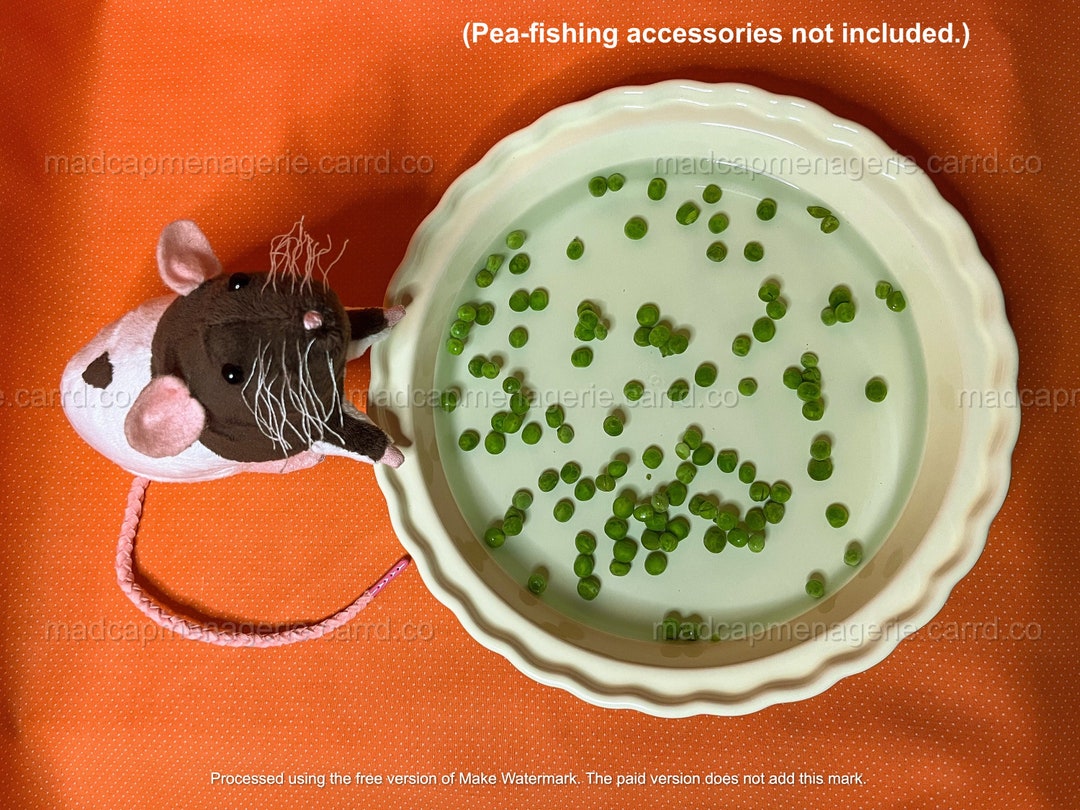 Custom Bareback Rats With Optional Markings—lifesize Rat Plushie—pet ...