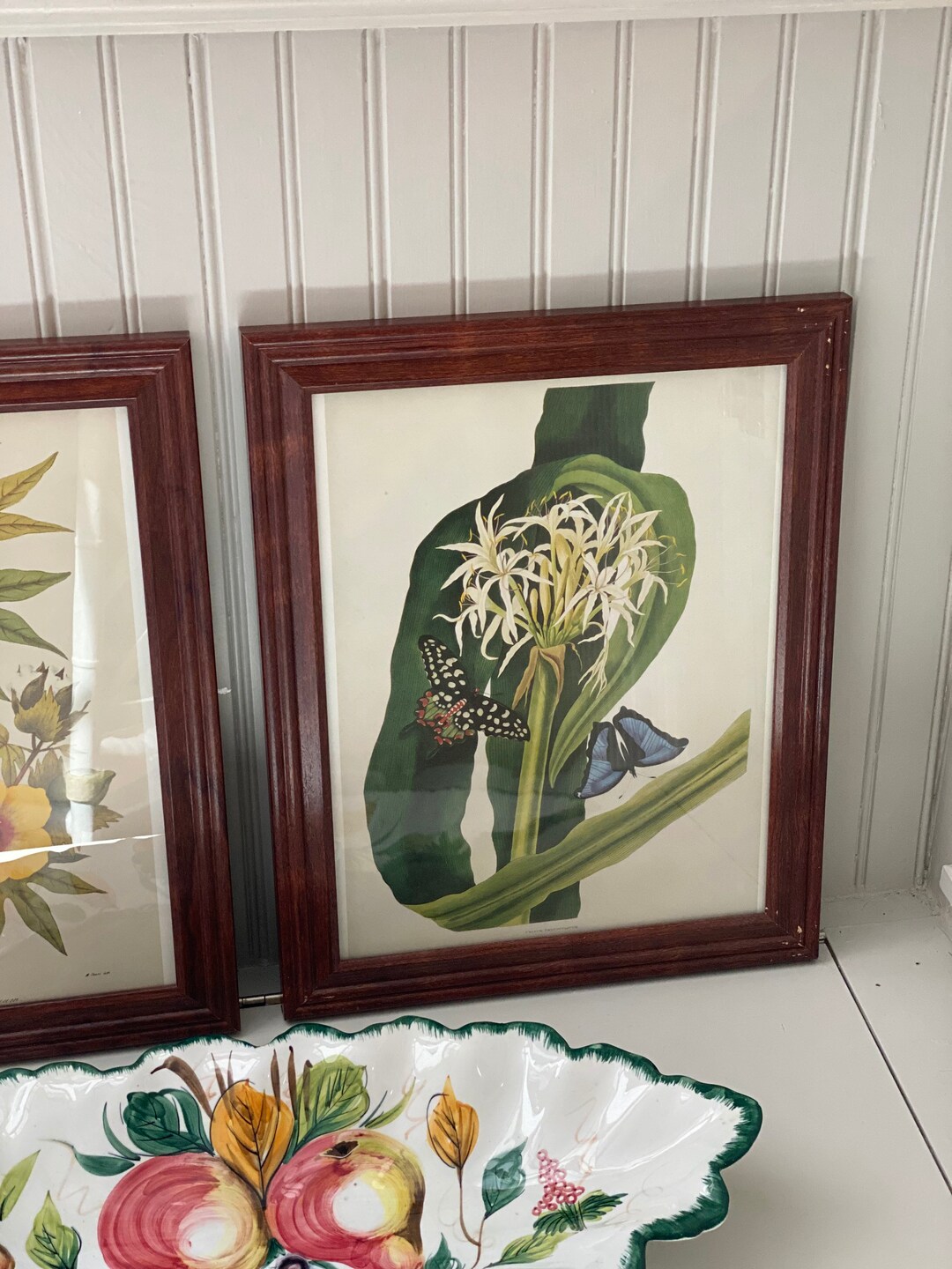 Framed Botanical Prints set of 2 - Etsy