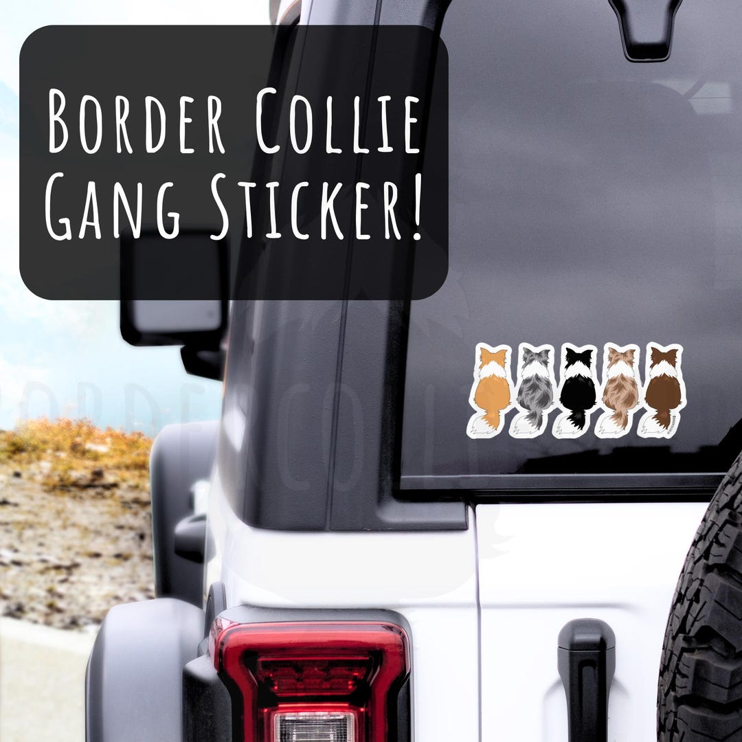 Border Collie Car Sticker Border Collie Lover Blue Merle Border Collie ...
