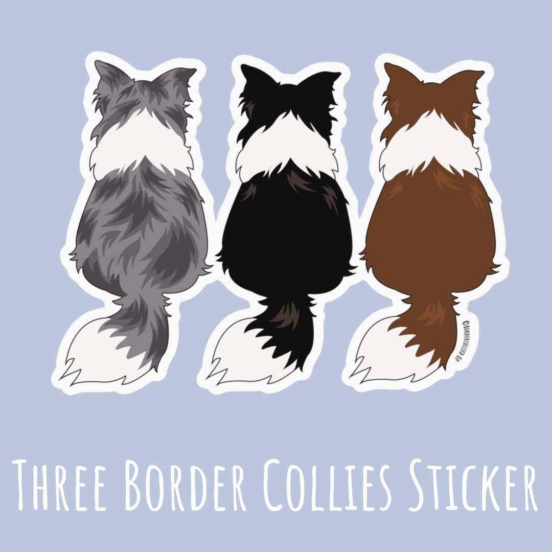 Border Collie Sticker for Border Collie Lover Waterproof Decal for ...