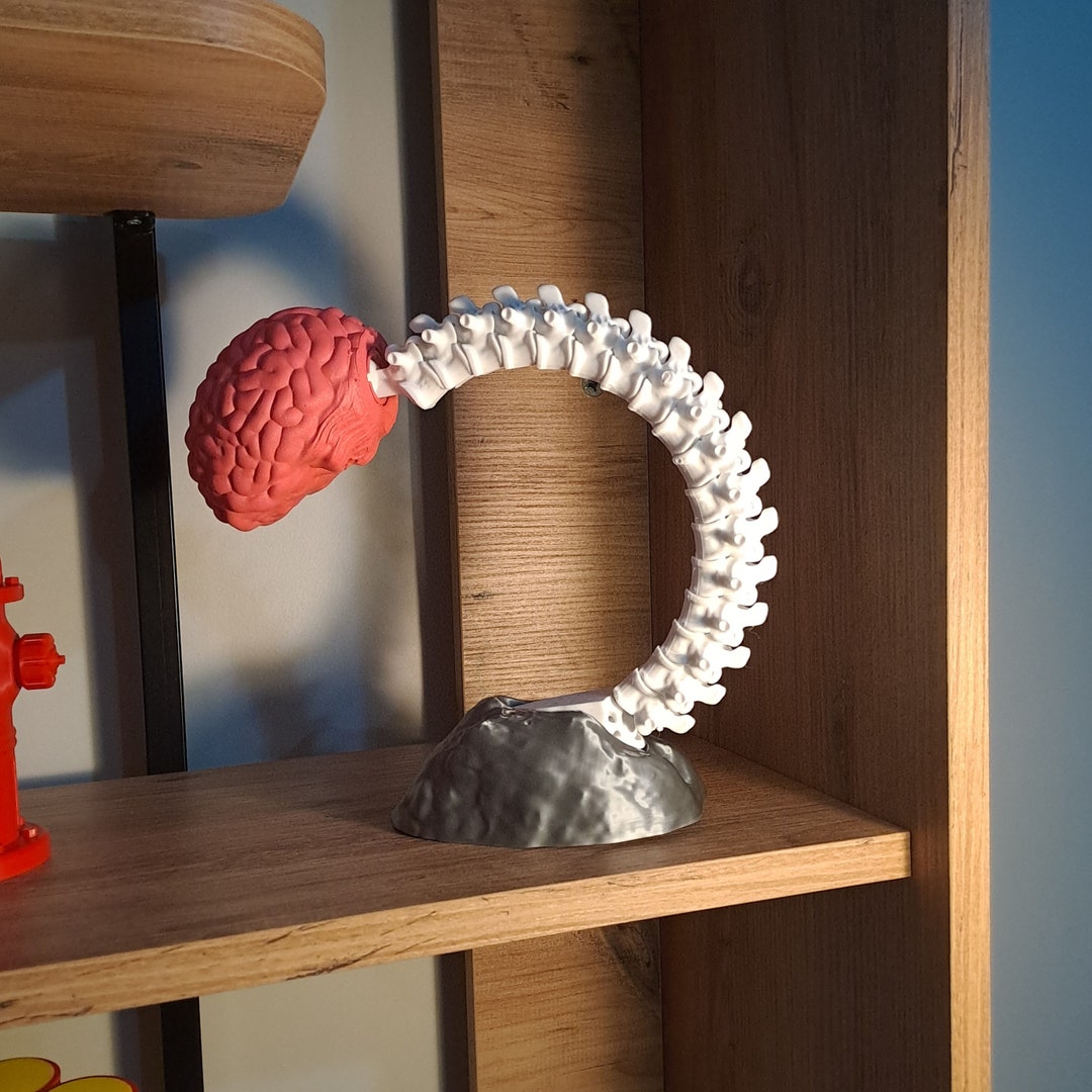 Spine and Brain Extraordinary 3-piece Decorative Figurine! / Made From ...