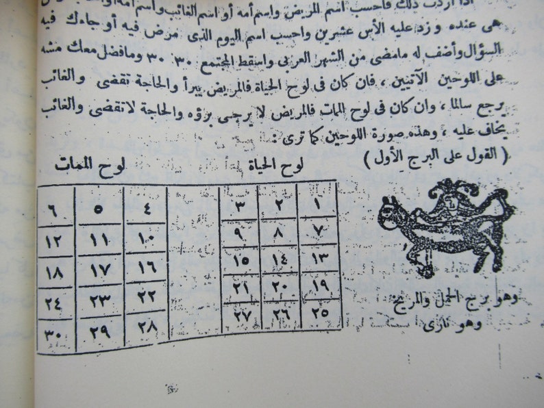 Ebul Mahşeri Felek Facsimile Arabic Islamic Magic Charm Havass Occult ...