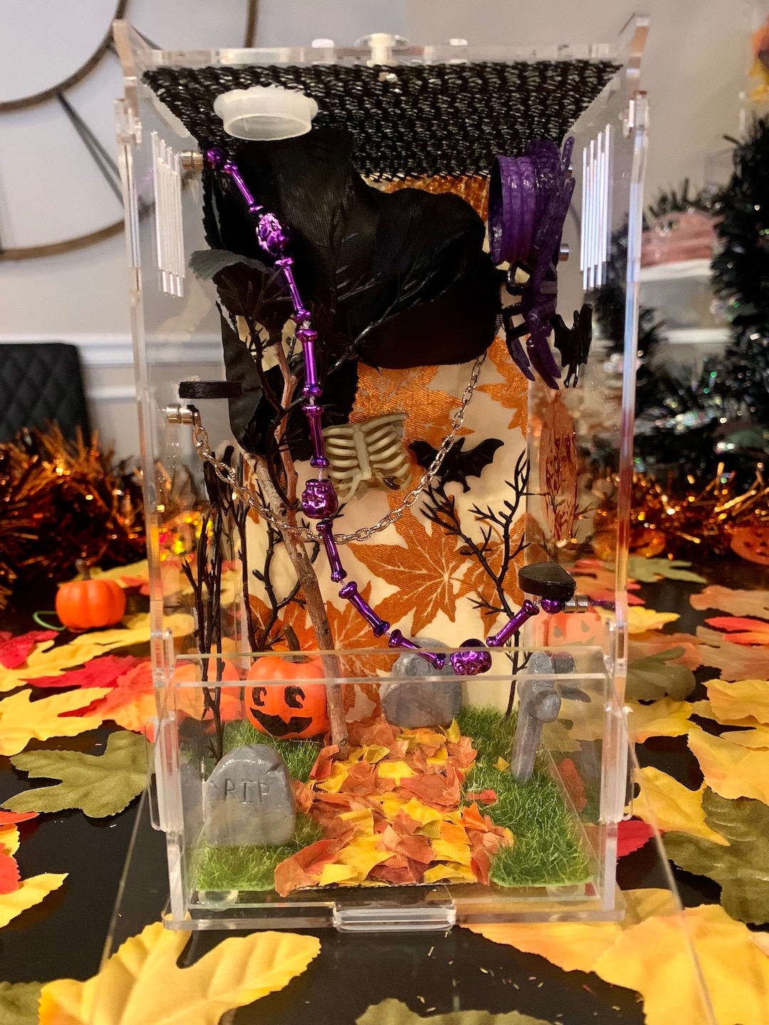 Spooky Halloween Jumping Spider Enclosure Habitat - Etsy