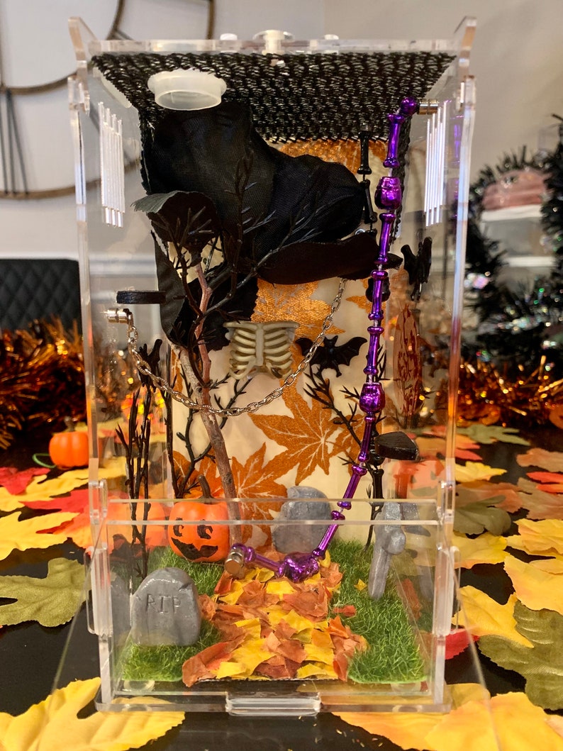 Spooky Halloween Jumping Spider Enclosure Habitat - Etsy