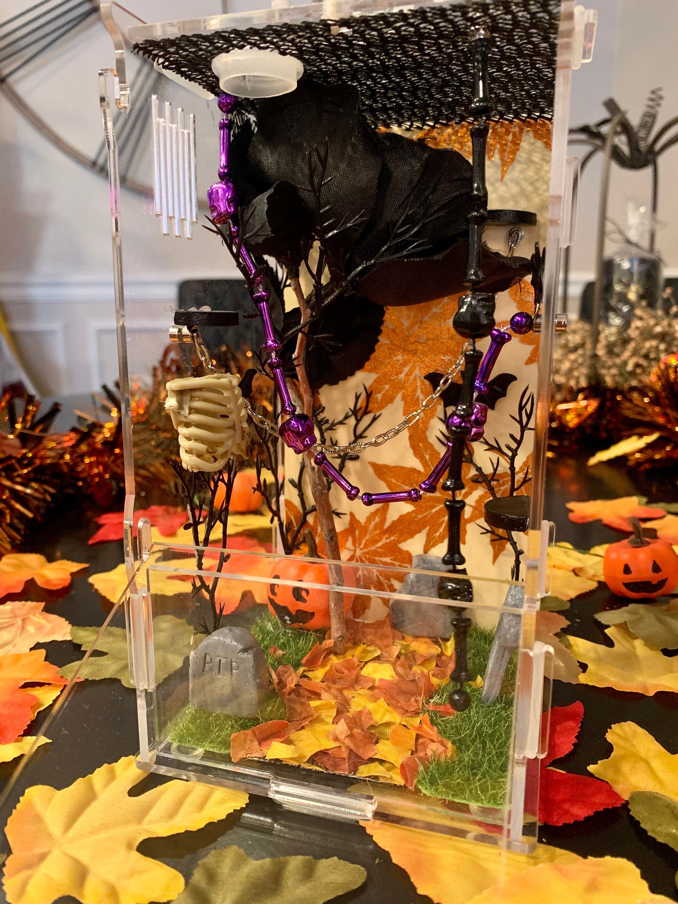 Spooky Halloween Jumping Spider Enclosure Habitat - Etsy