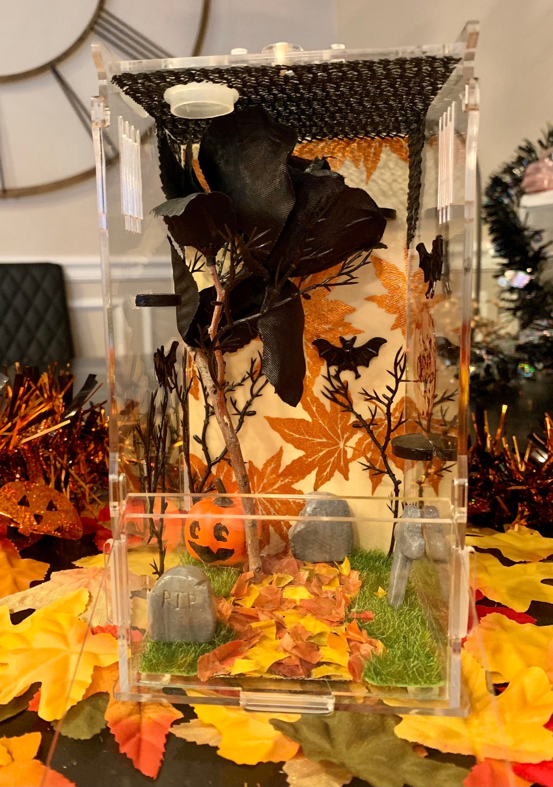 Spooky Halloween Jumping Spider Enclosure Habitat - Etsy