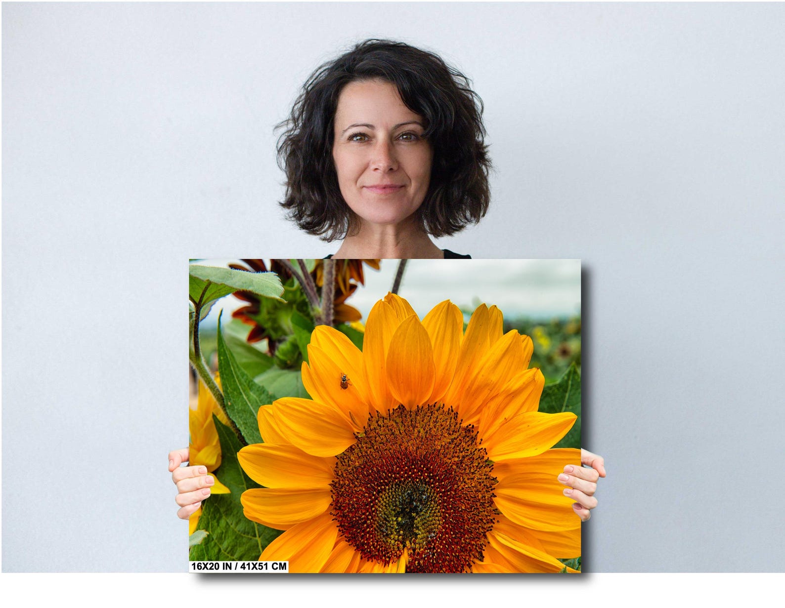 Ladybug Sunflower Photo Print: Rustic Farmhouse Wall Art - Etsy