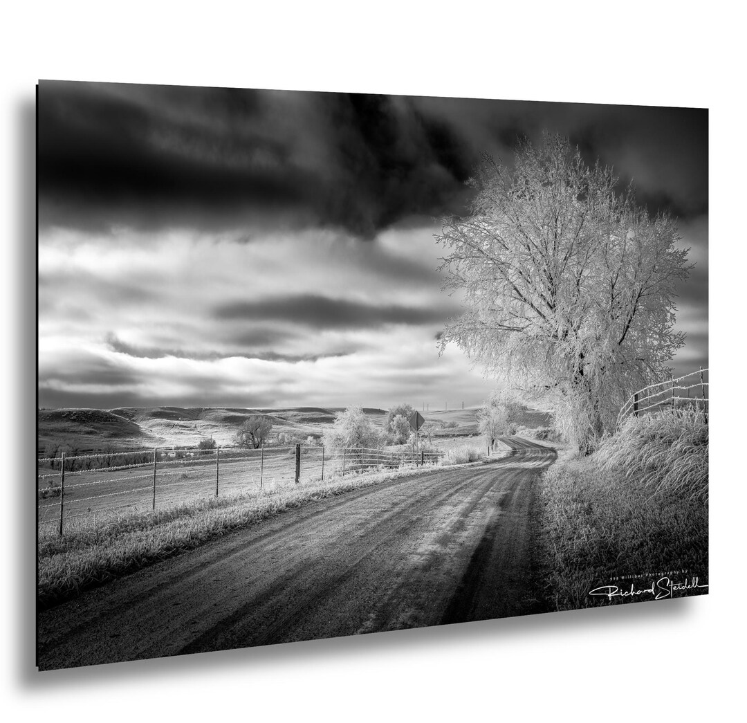 Winter Country Road Print: Black & White Landscape (canvas or Metal) - Etsy