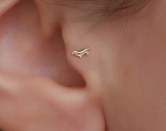 Dog Tragus Piercing - Etsy
