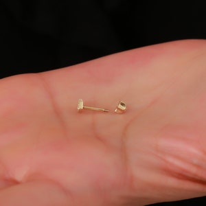 14K Solid Gold Fishbone Tragus Piercing / Helix Piercing / - Etsy