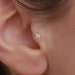 14K Solid Gold Dog Tragus Piercing / Minimalist Flat Back Helix ...