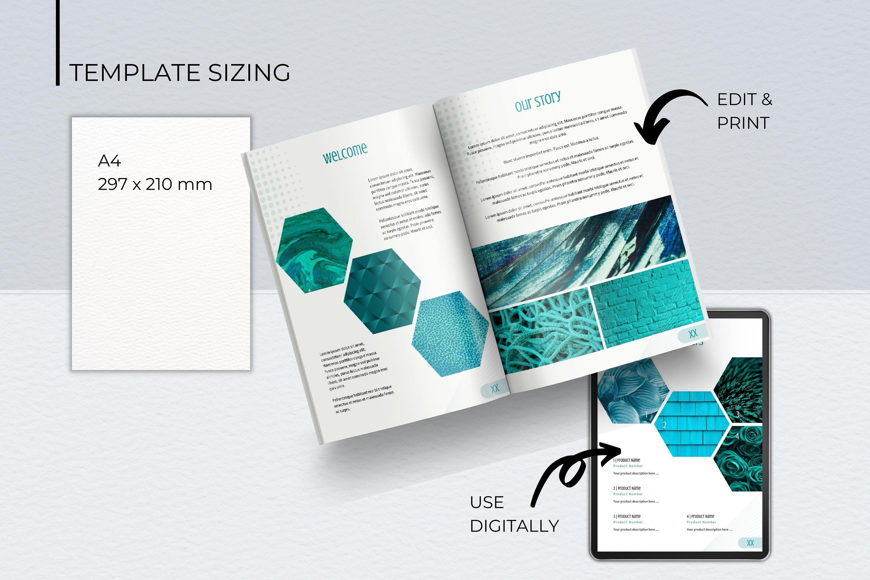 35+ Editable Product Catalog & Line Sheet Templates | Product Pricing ...