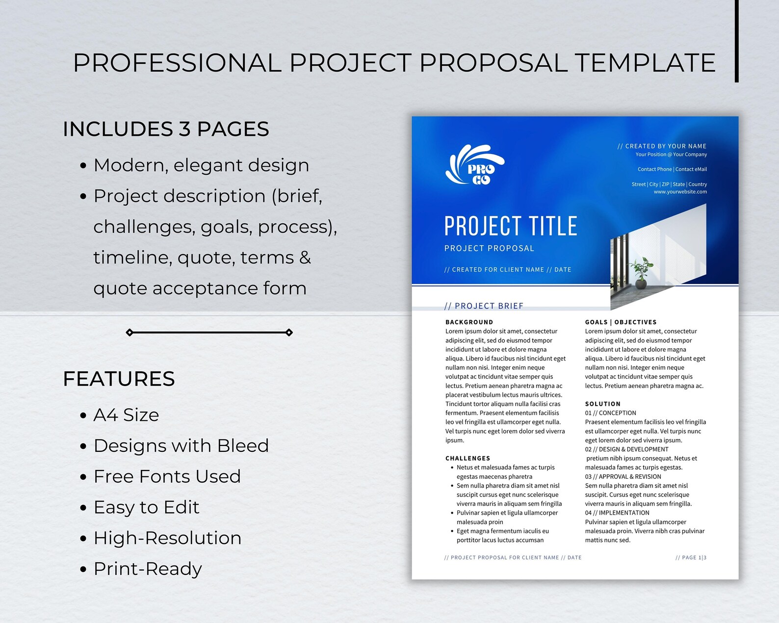 Project Proposal Template, Professional Proposal Canva Template, 3 ...