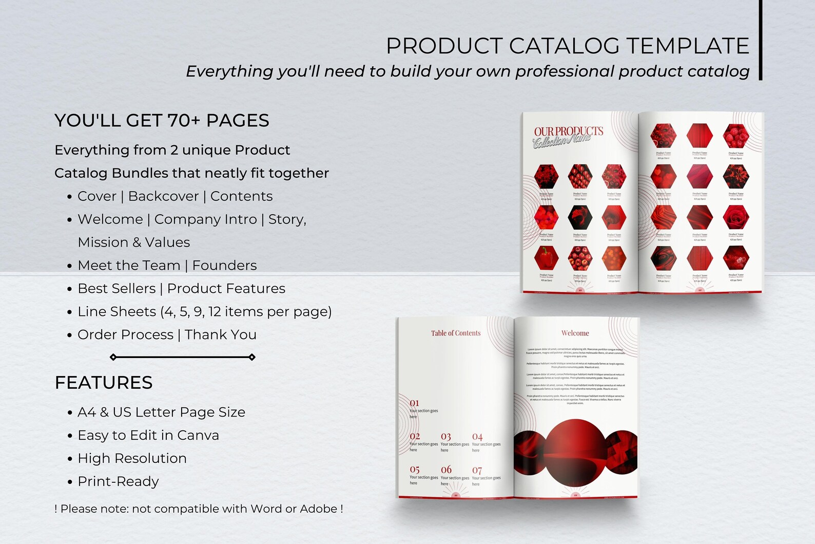 70 Editable Product Catalog & Line Sheet Templates Product Pricing ...