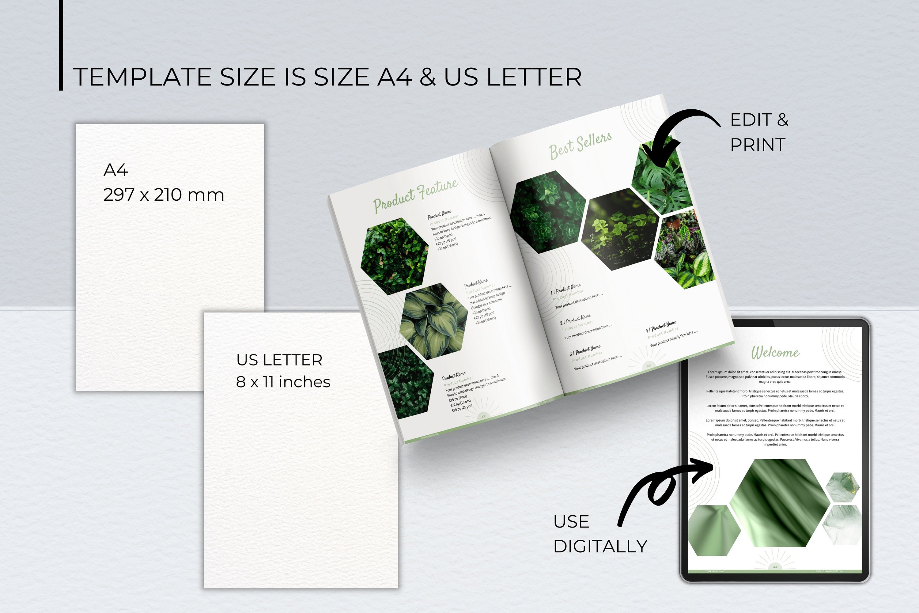 35 Editable Product Catalog & Line Sheet Templates Product Pricing ...