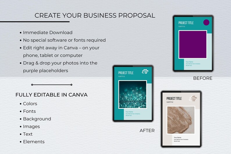 Project Proposal Template Bundle 30 Pages Professional - Etsy