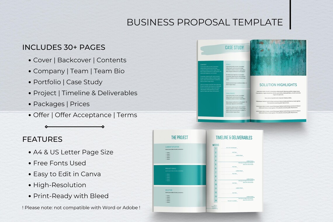 Project Proposal Template Bundle 30 Pages Professional - Etsy