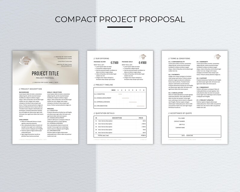Project Proposal Template, Professional Proposal Canva Template, 3 ...