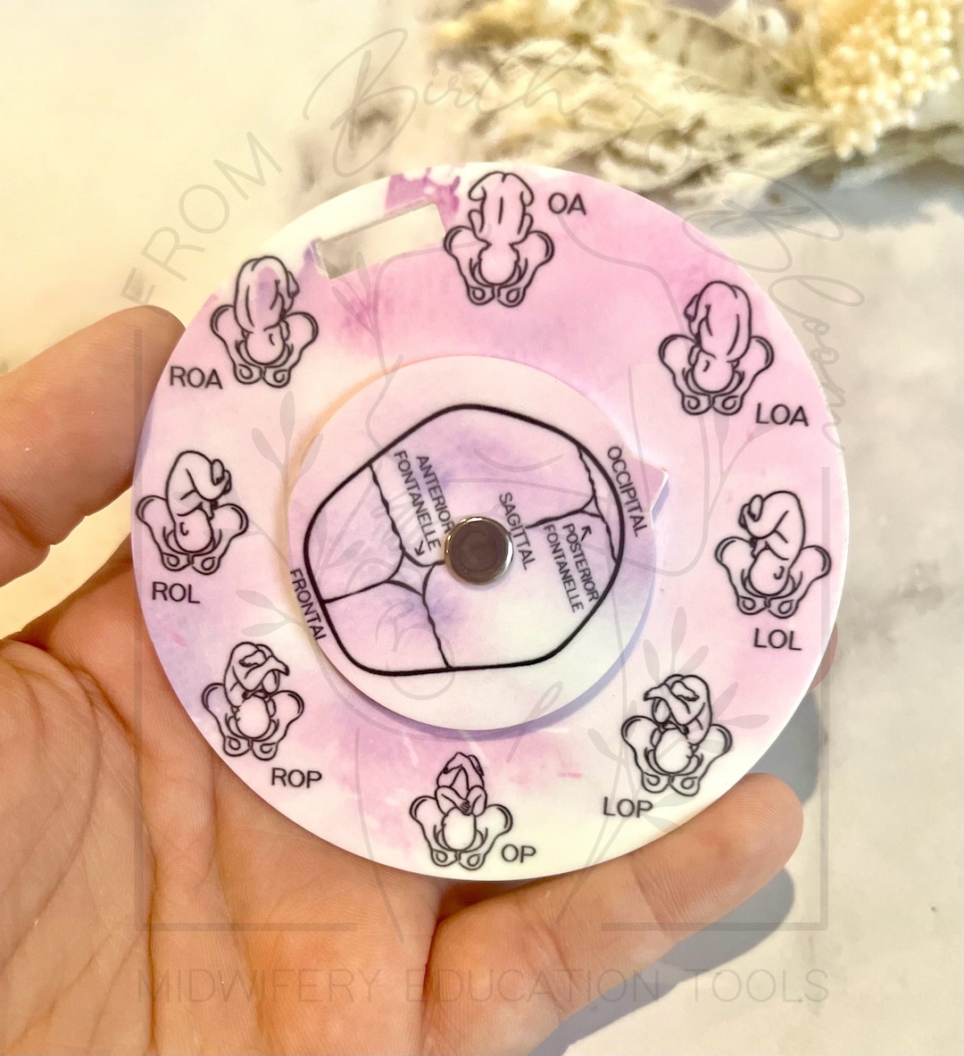 Mini Acrylic Fetal Position Tool for Midwives, Student Midwives, Doula ...