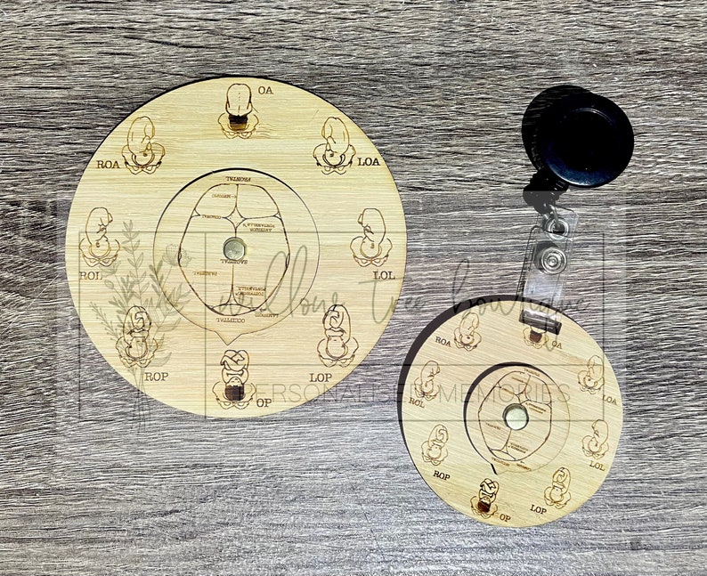 CEPHALIC Bamboo Midwifery Fetal Position Tool for Midwives, Student ...