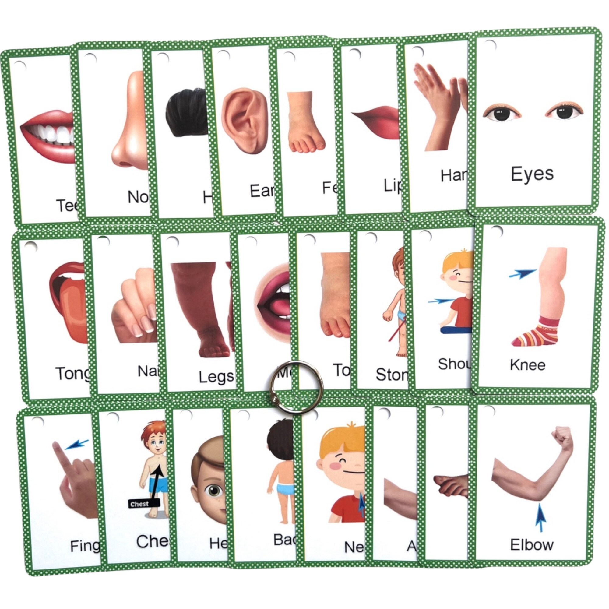 Body Parts Flashcards for Toddlers, Educational Learning - Etsy