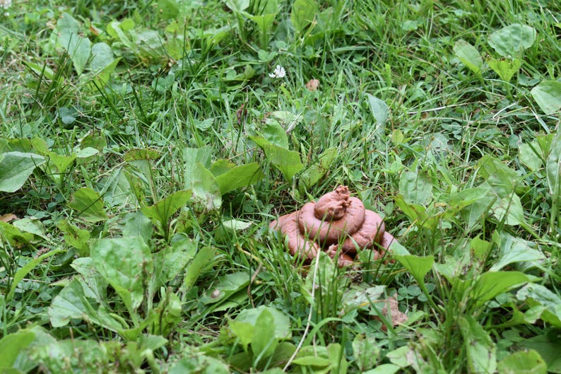Realistic Prank Pile of Poo - Digital File and Commercial License, 3mf ...