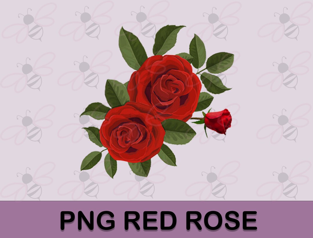 PNG - Red Rose Print File | Rose PNG File | Red Rose, Flower, Flowers ...